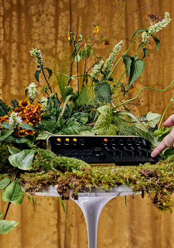 Shop All – Telepathic Instruments