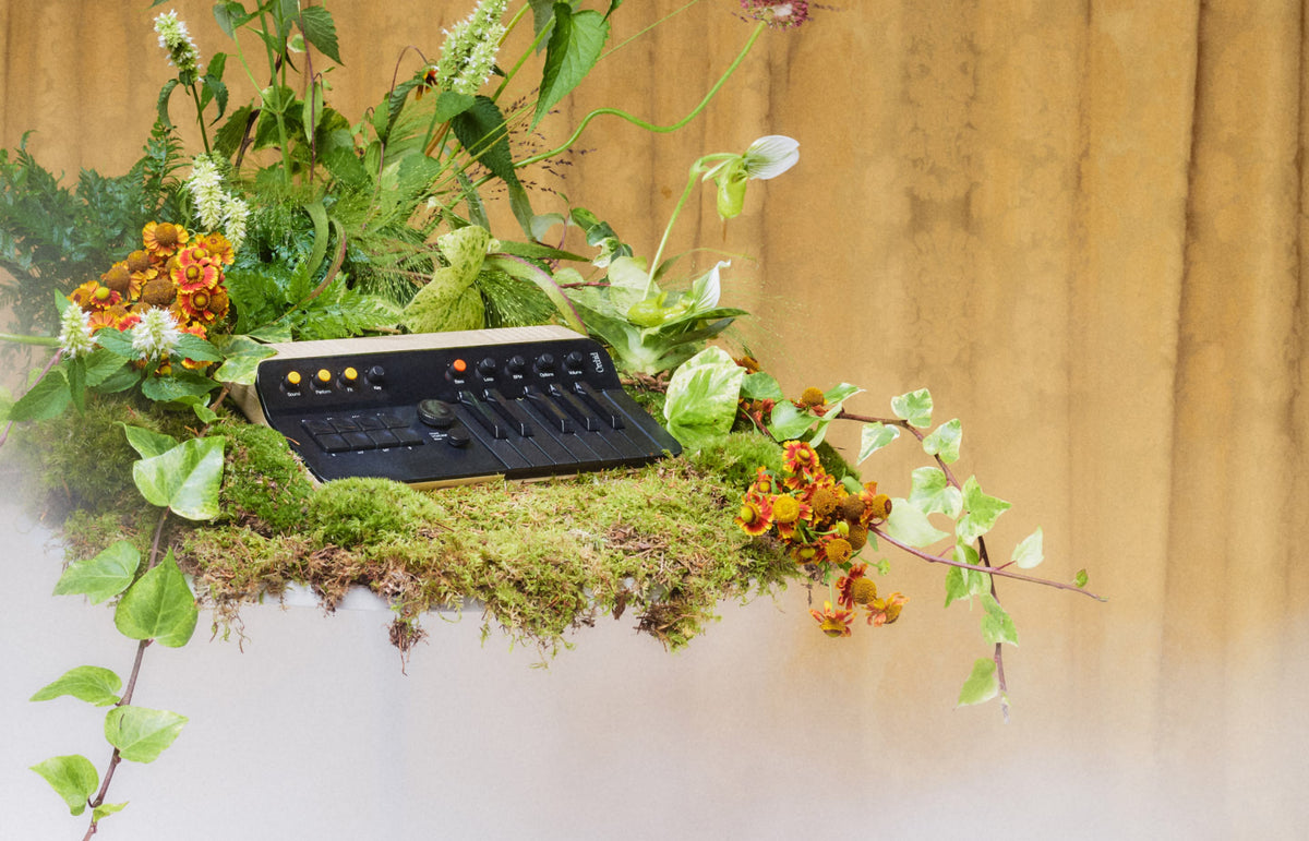 Orchid ORC—1 – Telepathic Instruments